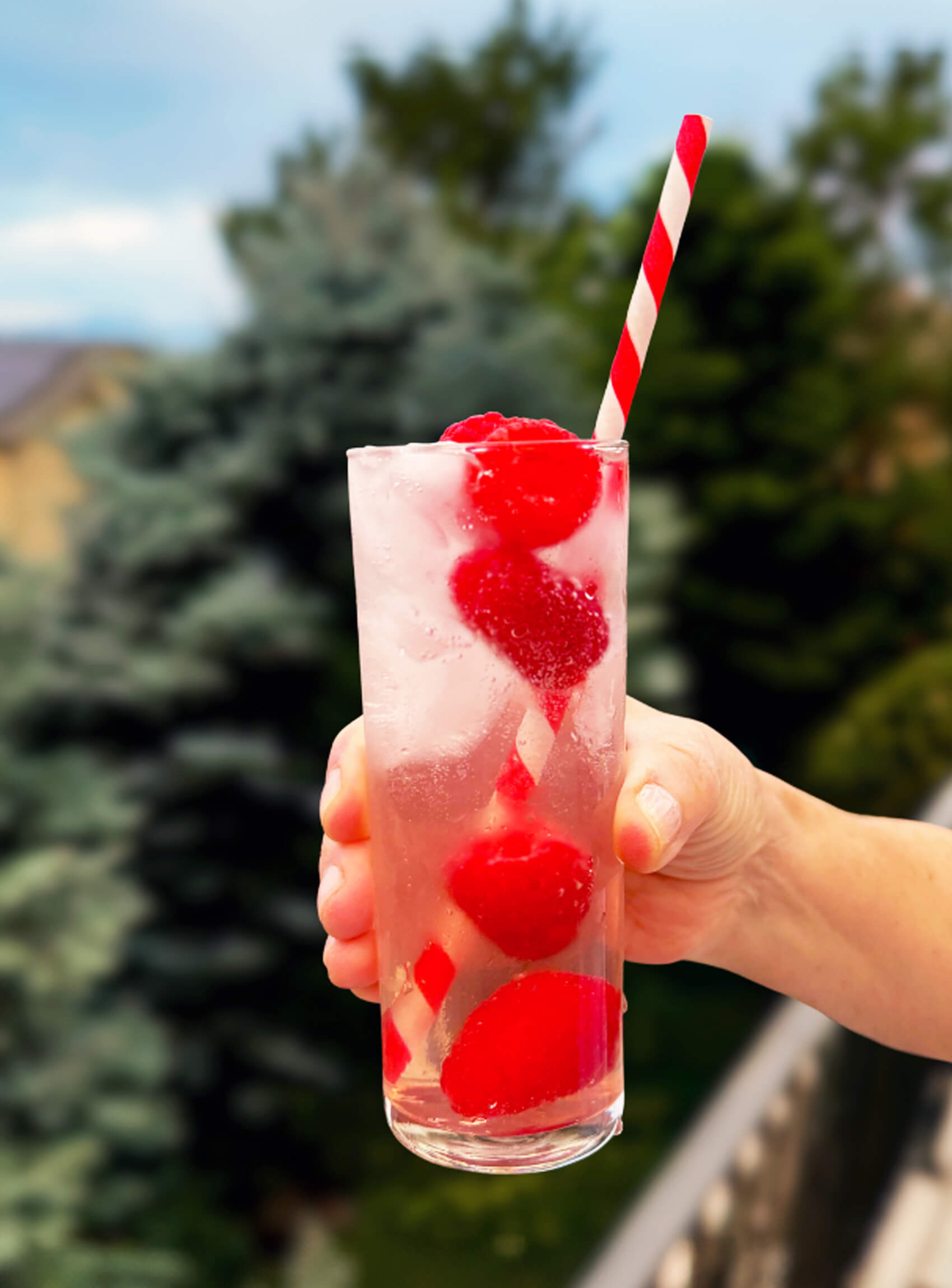 Raspberry Lemonade Vodka Spritzer – Ogden's Own Distillery